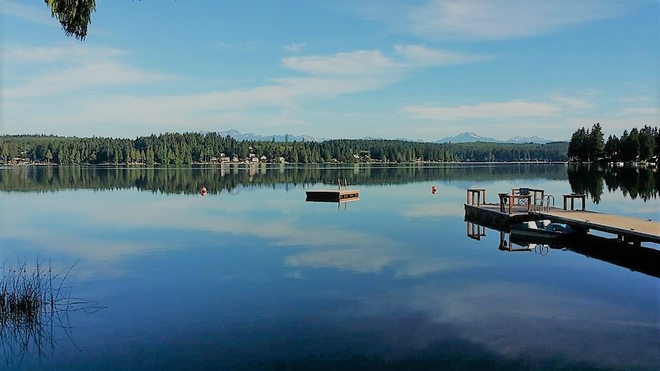 ADT Grapeview | Home Security Grapeview, WA - Washington Security Pro